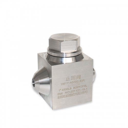 High Pressure BW Check Valves 4500LB,High Pressure BW Check Valves